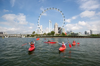 onePA | PAssion Wave